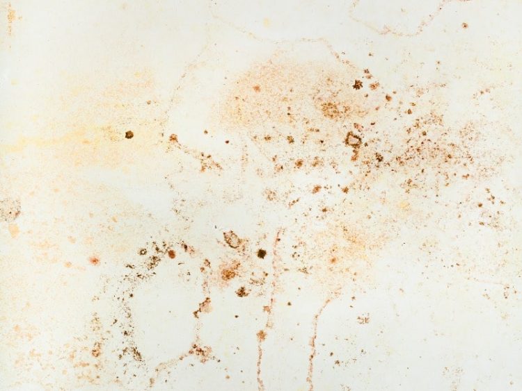 TIPOS DE MOHO EN PAREDES Y CÓMO AFECTAN LA SALUDOK Humedades